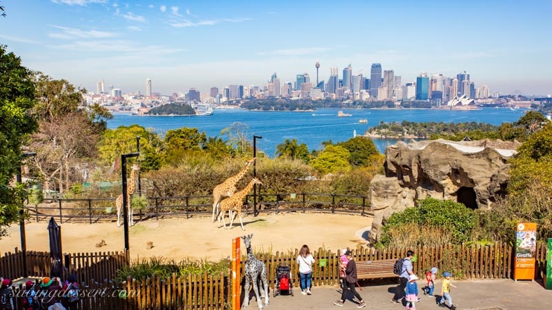 Taronga Zoo, Sydney Australia