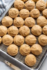 Tagalongs Girl Scout Cookies - Saving Room for Dessert